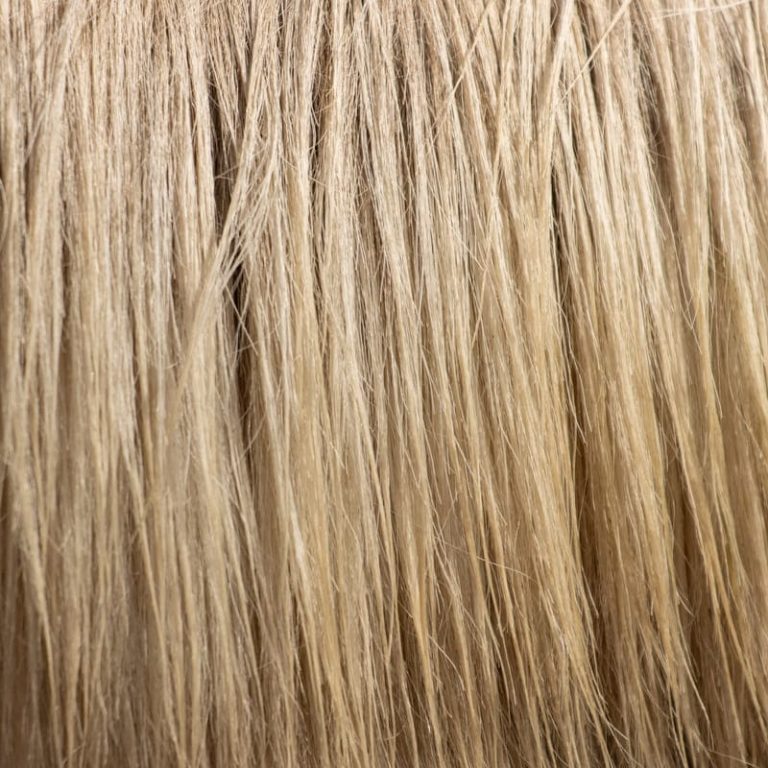 Le crin de cheval : une fibre naturelle aux multiples usages. - Escot